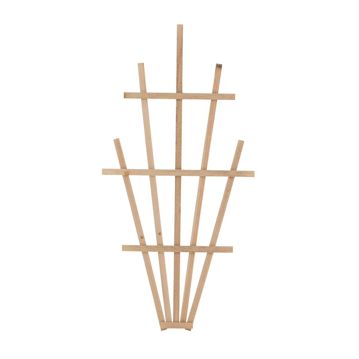 Fan Trellis – Get Growing